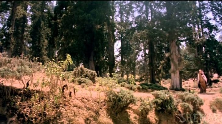 Betaab (1983) Songs Lyrics & Videos [All Songs List]- LyricsBogie