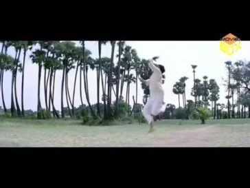 AASHAYEIN LYRICS - Iqbal - Krishnakumar Kunnath (K.K) | LyricsBogie